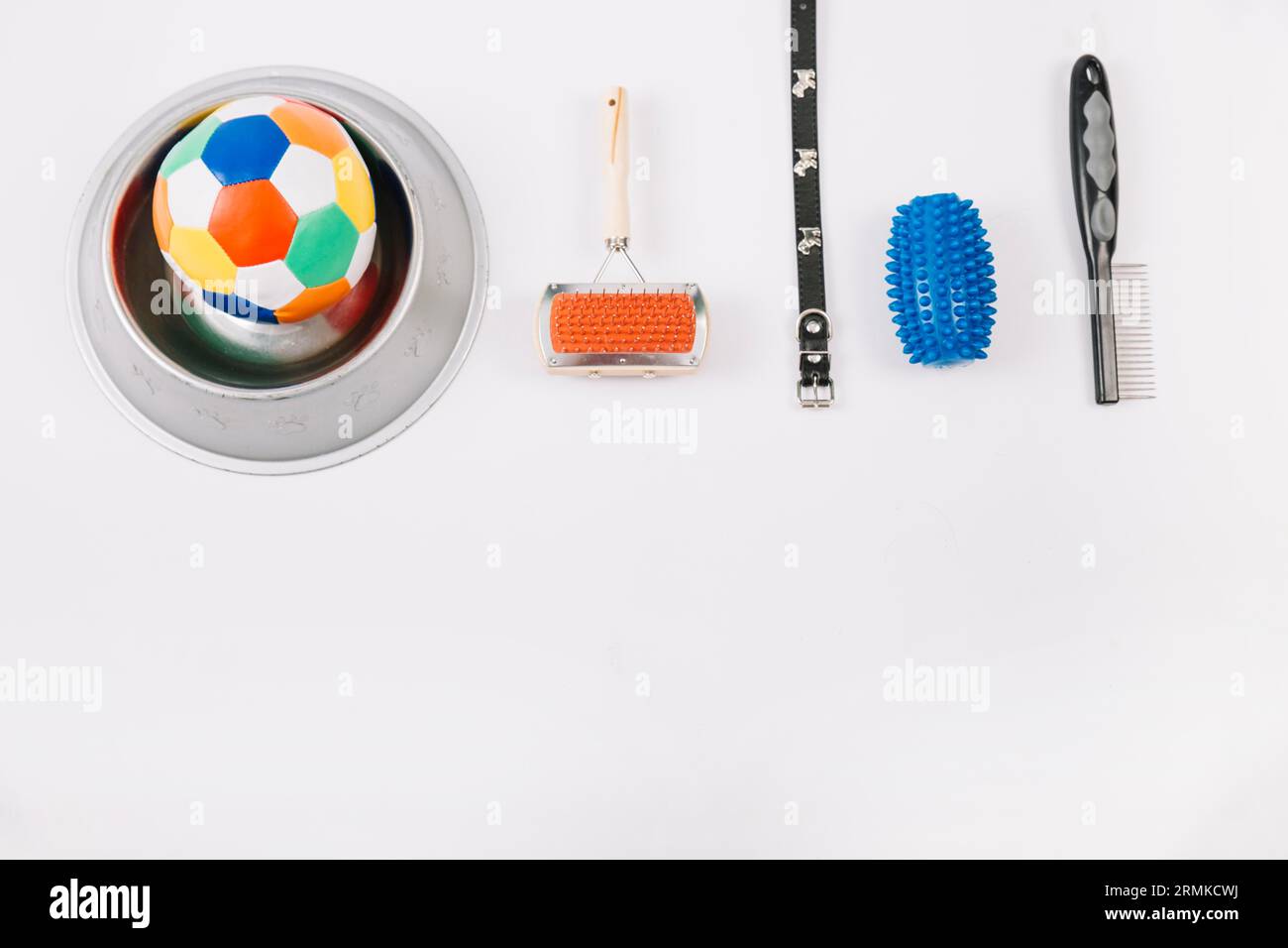 Set dog hi-res stock photography and images - Alamy