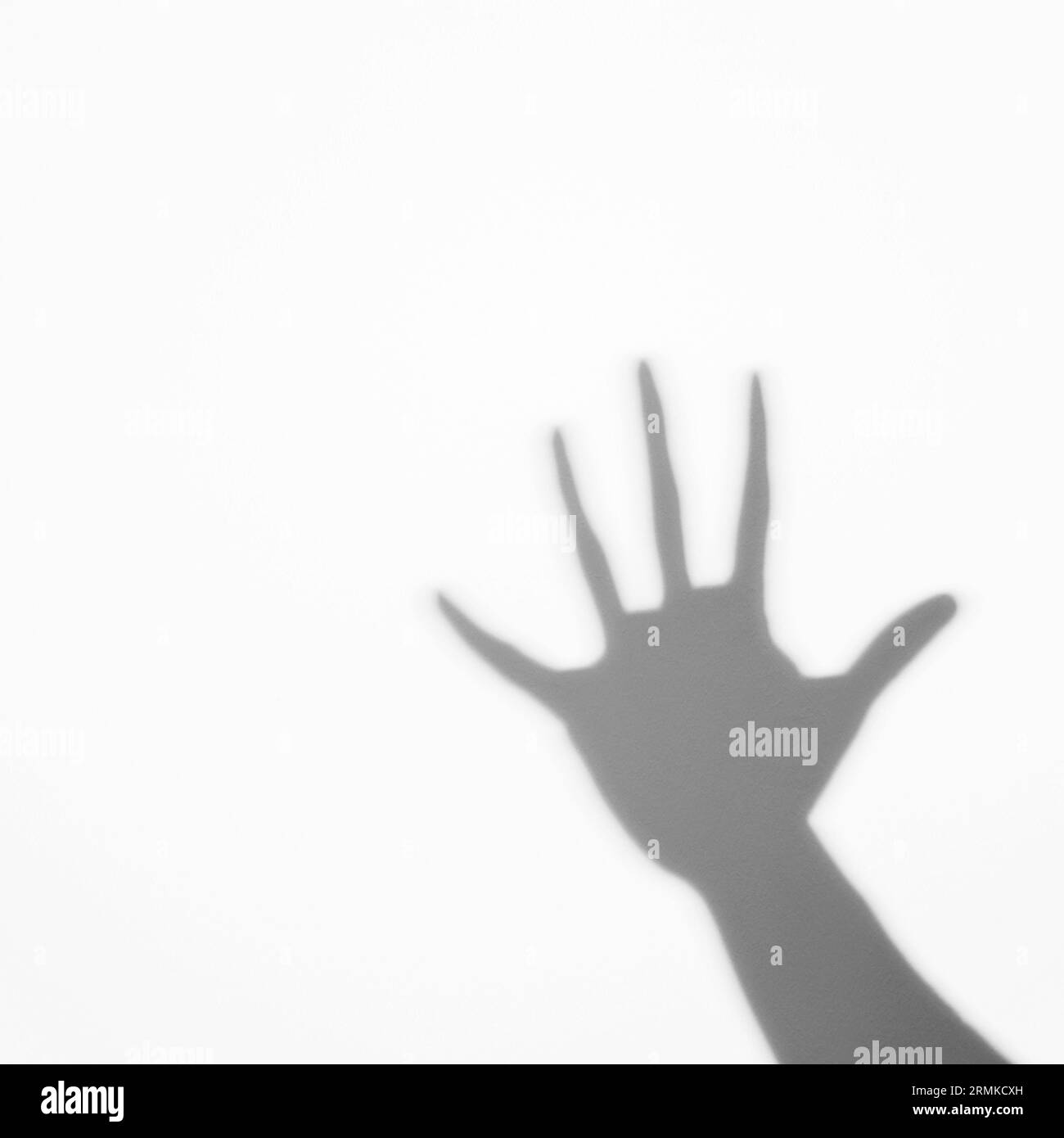 Shadow human palm white backdrop Stock Photo - Alamy
