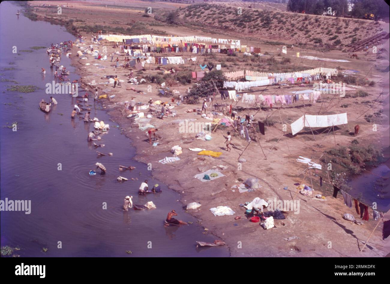 Gomat taal hi-res stock photography and images - Alamy