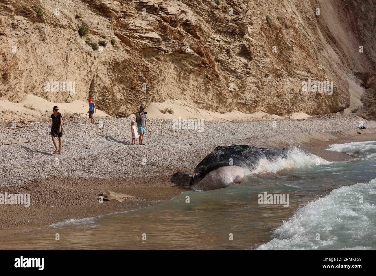 Tel Aviv. 28th Aug, 2023. This photo taken on Aug. 28, 2023 shows the ...