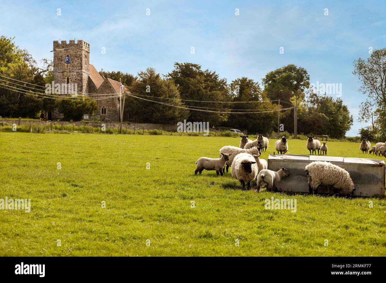View across fields to the church of St Nicholas at Boughton Malherbe ...