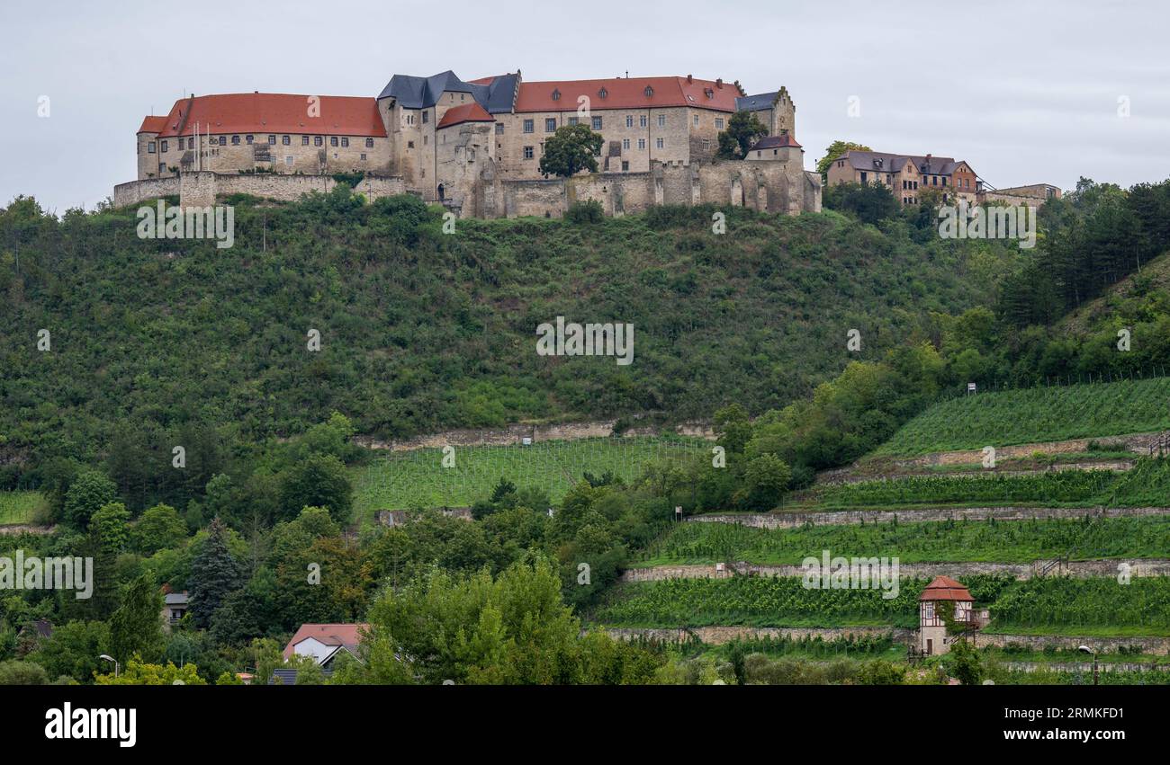 Freyburg, Germany. 29th Aug, 2023. Neuenburg Castle towers above the ...