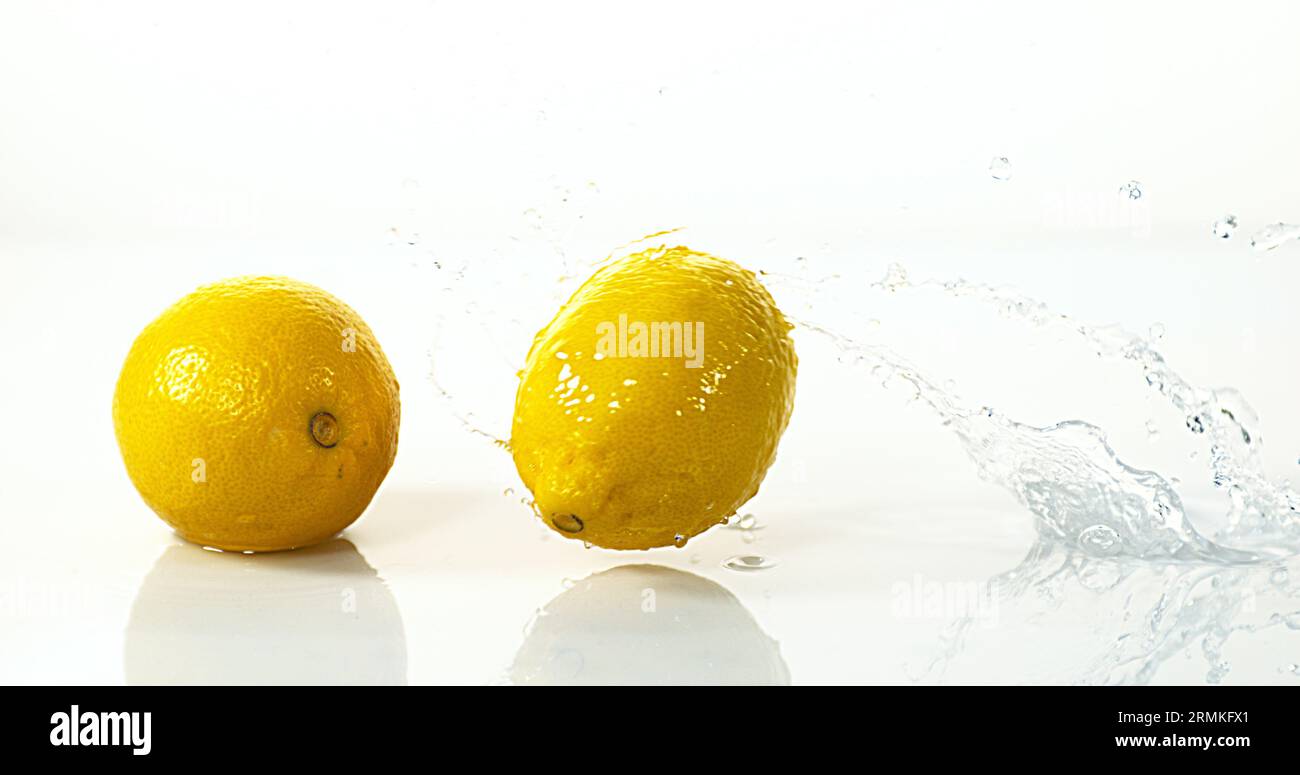 Yellow Lemons, citrus limonum, Fruits Rolling on Water and splashing ...