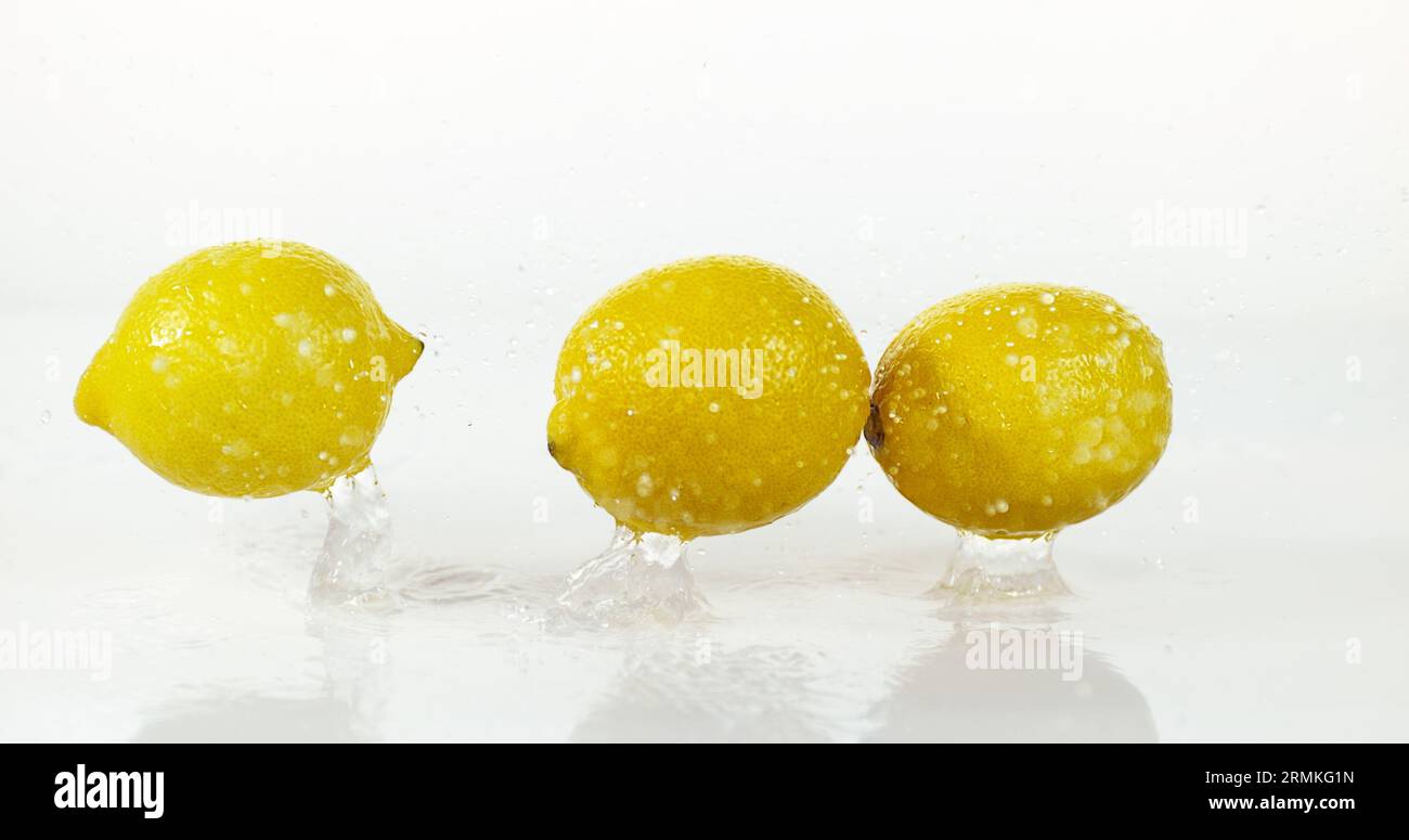 Yellow Lemons, citrus limonum, Fruits Rolling on Water and splashing ...