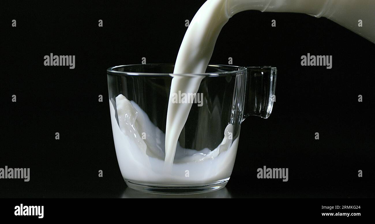 Milk being poured into a Cup against Black Background Stock Photo - Alamy