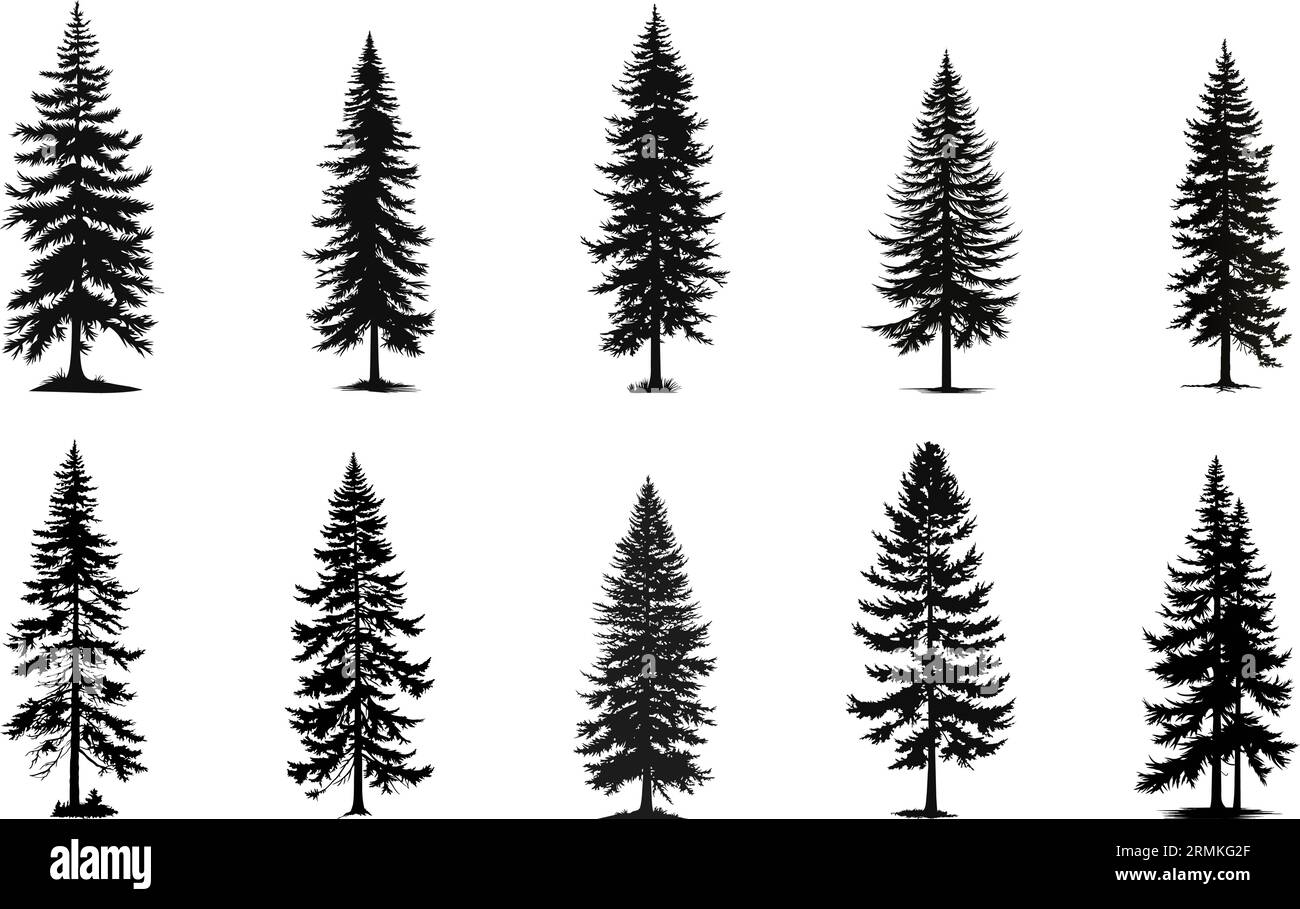 set of vector christmas tree silhouettes, traced outline, detailed ...