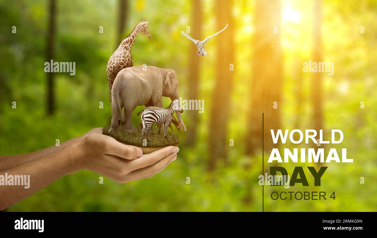 Human hand showing animals in the wildlife. World Animal Day concept ...