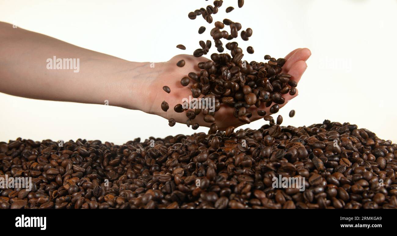 Coffee Beans Falling against White Background Stock Photo - Alamy