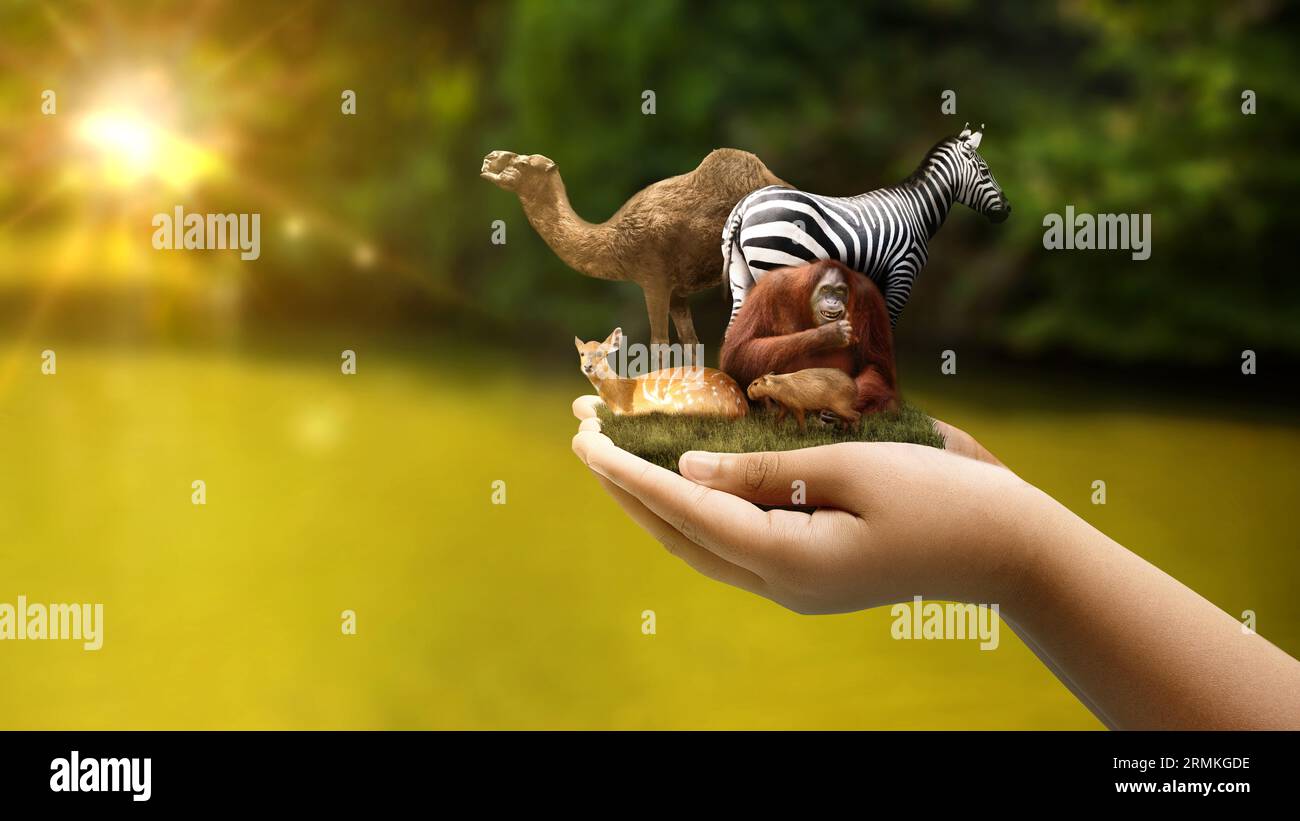 Human hand showing animals in the wildlife. World Animal Day concept ...