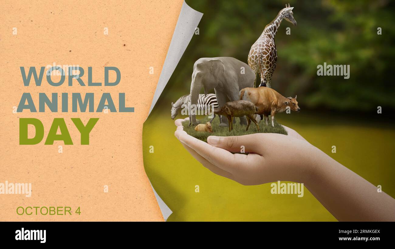 Human hand showing animals in the wildlife. World Animal Day concept ...