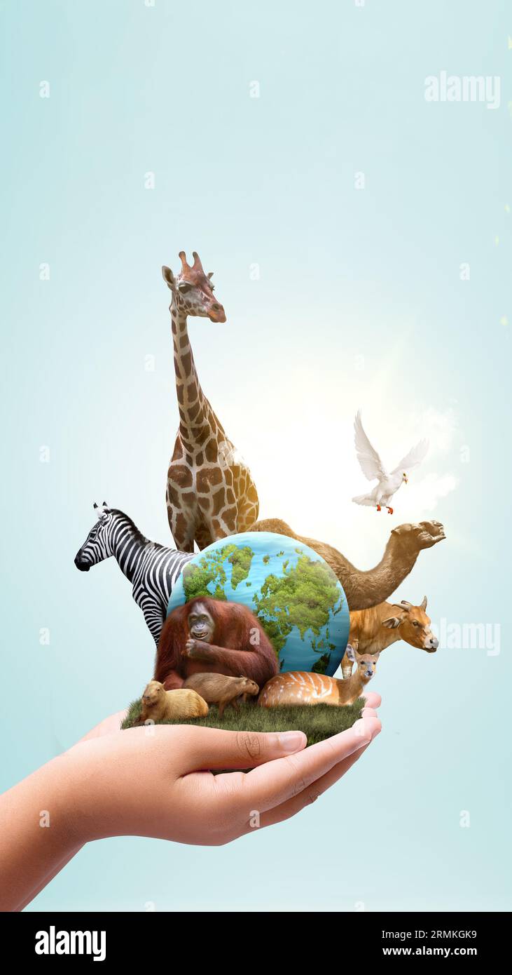 Human hand showing wildlife animal and earth. World Animal Day concept ...