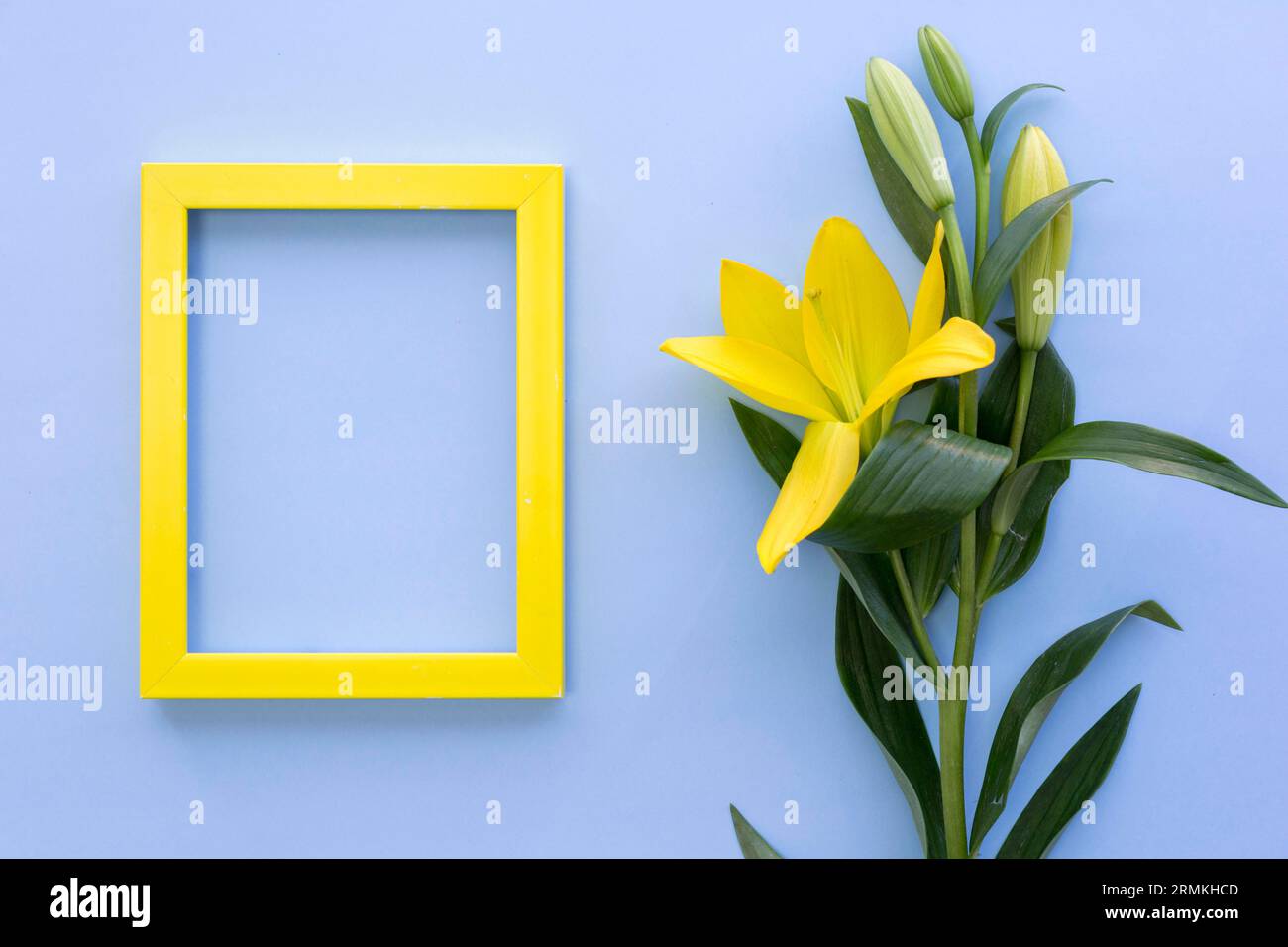 Yellow flower surface hi-res stock photography and images - Alamy