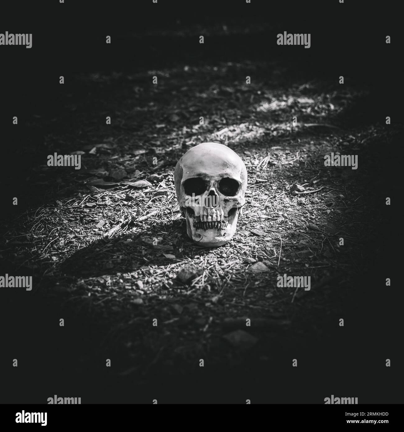 Grey soil hi-res stock photography and images - Alamy