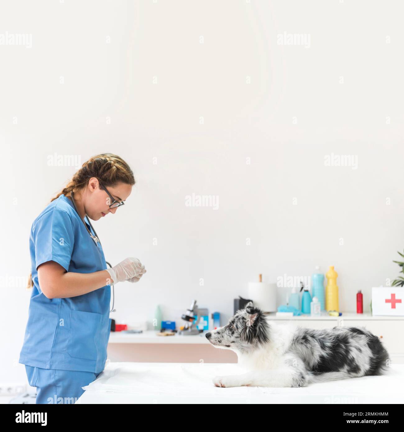 Veterinarian dog laboratory hi-res stock photography and images - Alamy