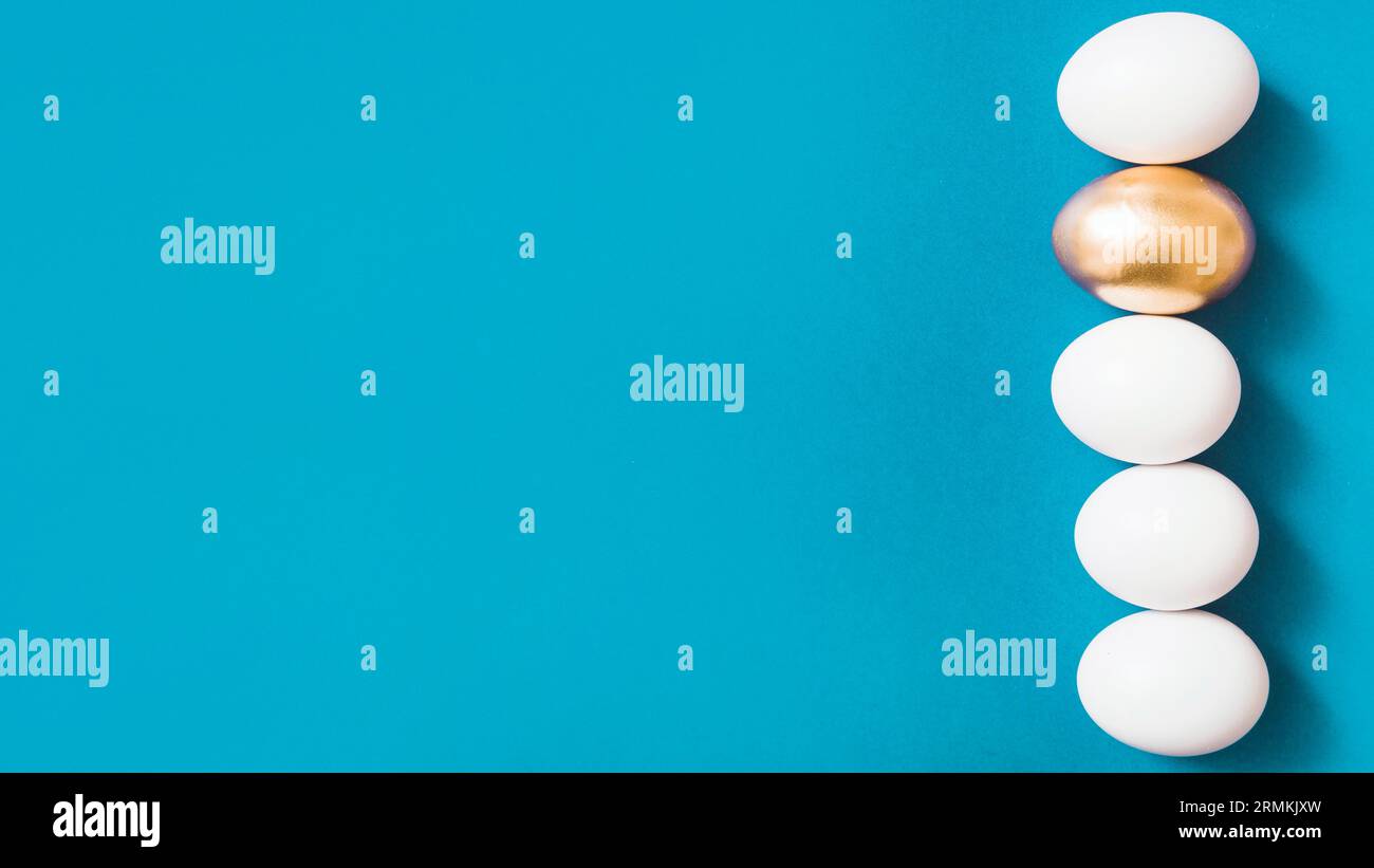 Row common eggs with one golden egg blue background Stock Photo - Alamy