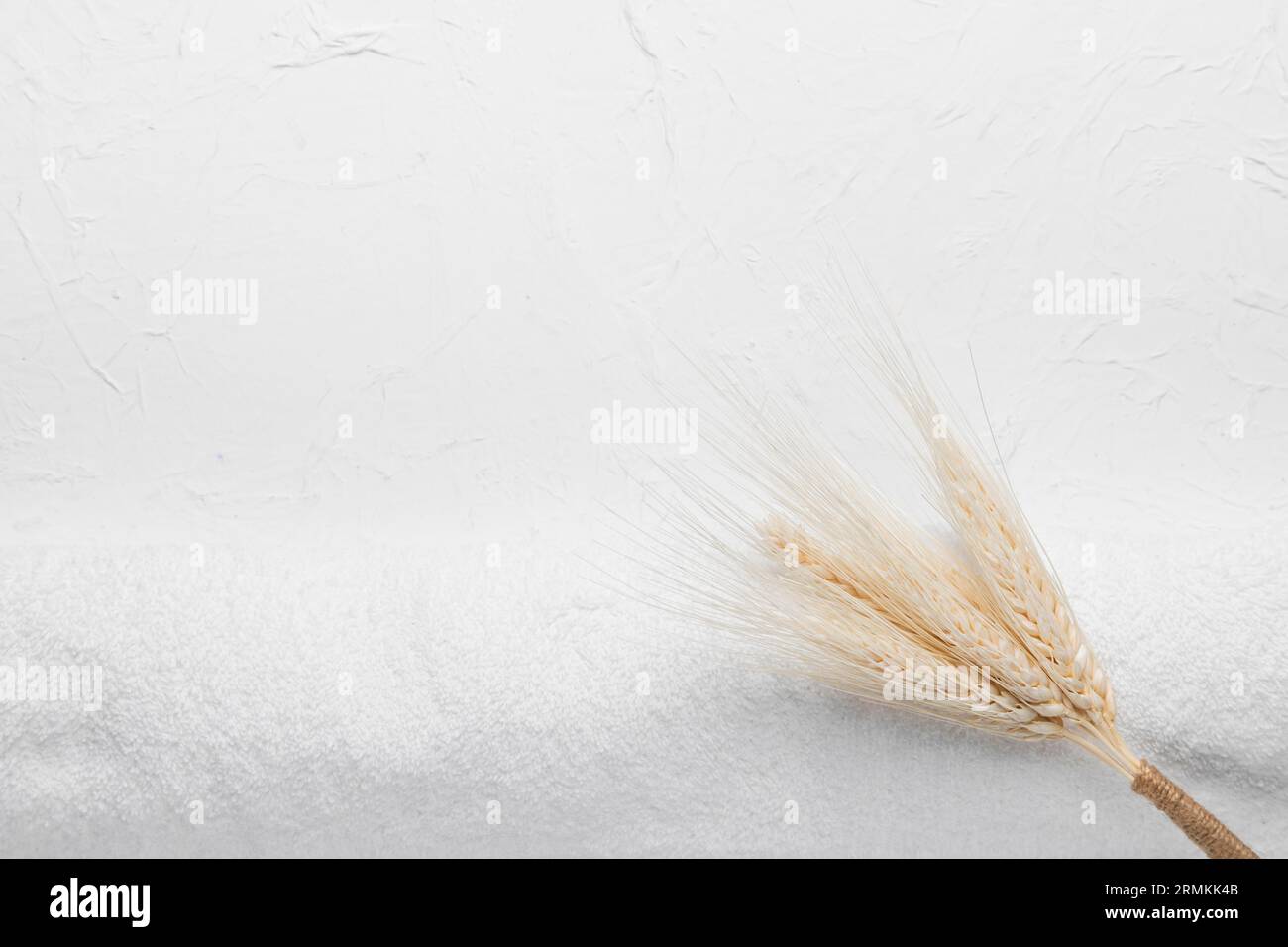 Spike brush white table spa Stock Photo - Alamy
