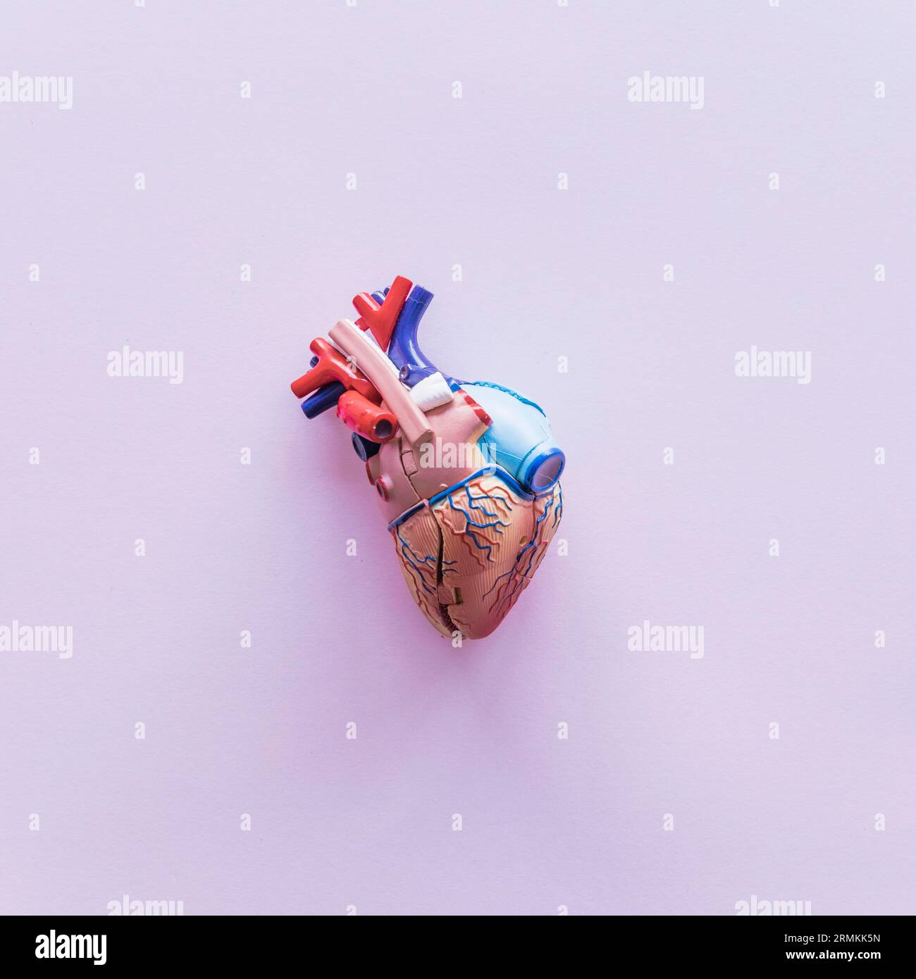 Small plastic human heart table Stock Photo - Alamy