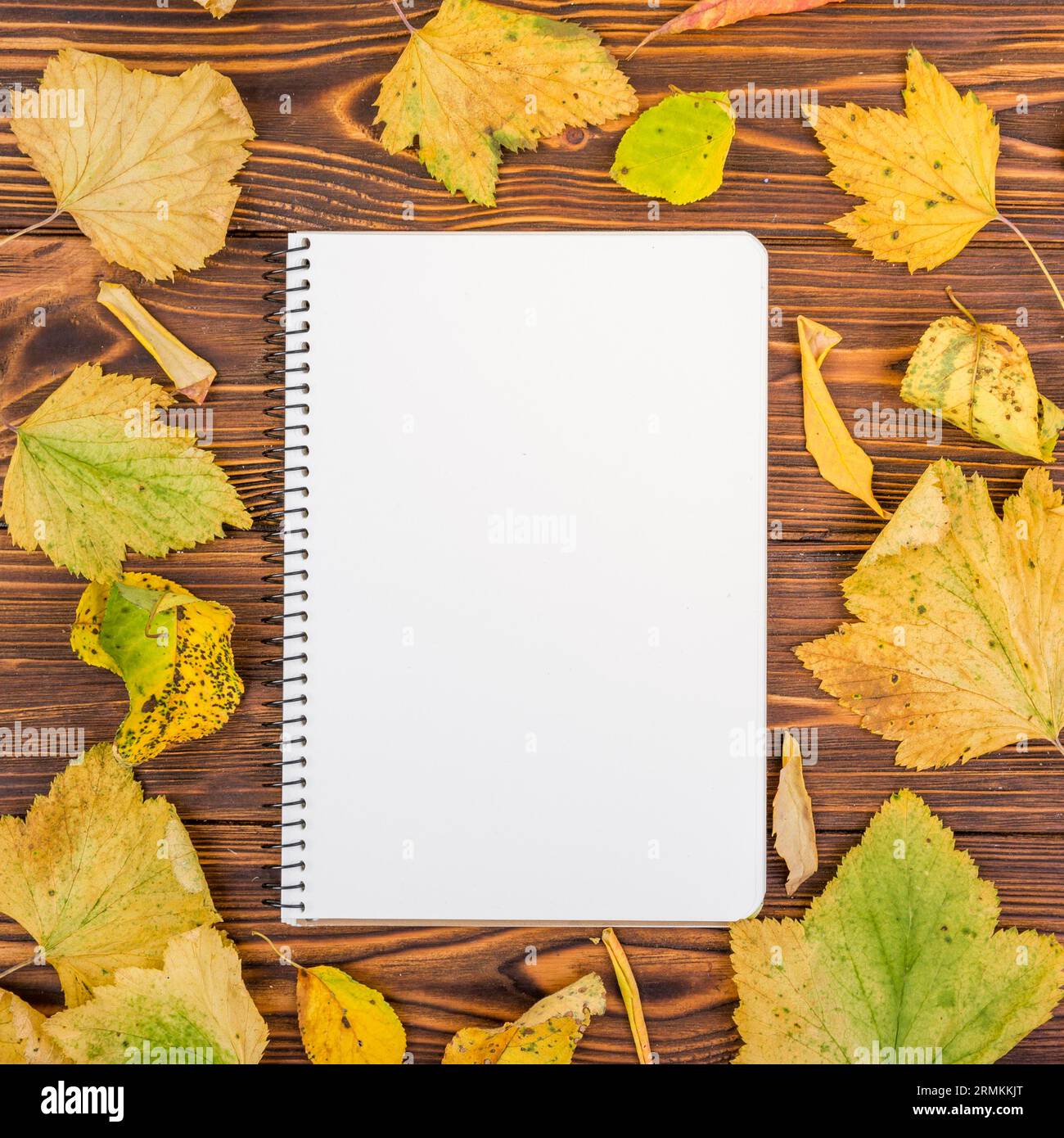 Top view notebook decorated hi-res stock photography and images - Alamy