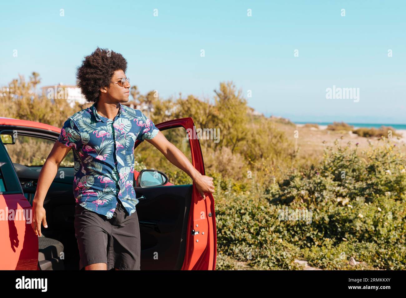 Car nature hi-res stock photography and images - Alamy