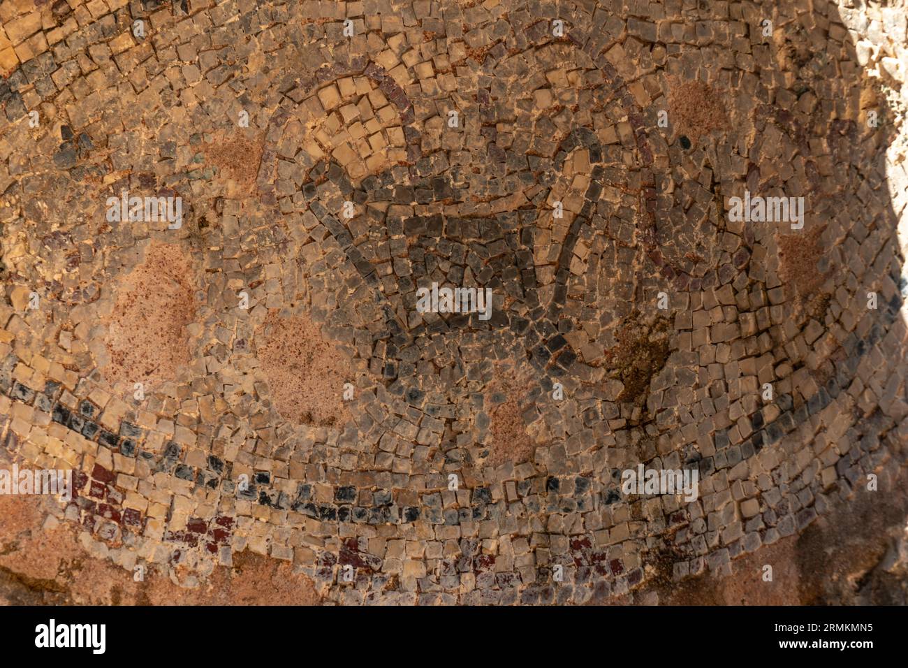 Ancient drawings in the Baths and baths in the archaeological ruins of ...