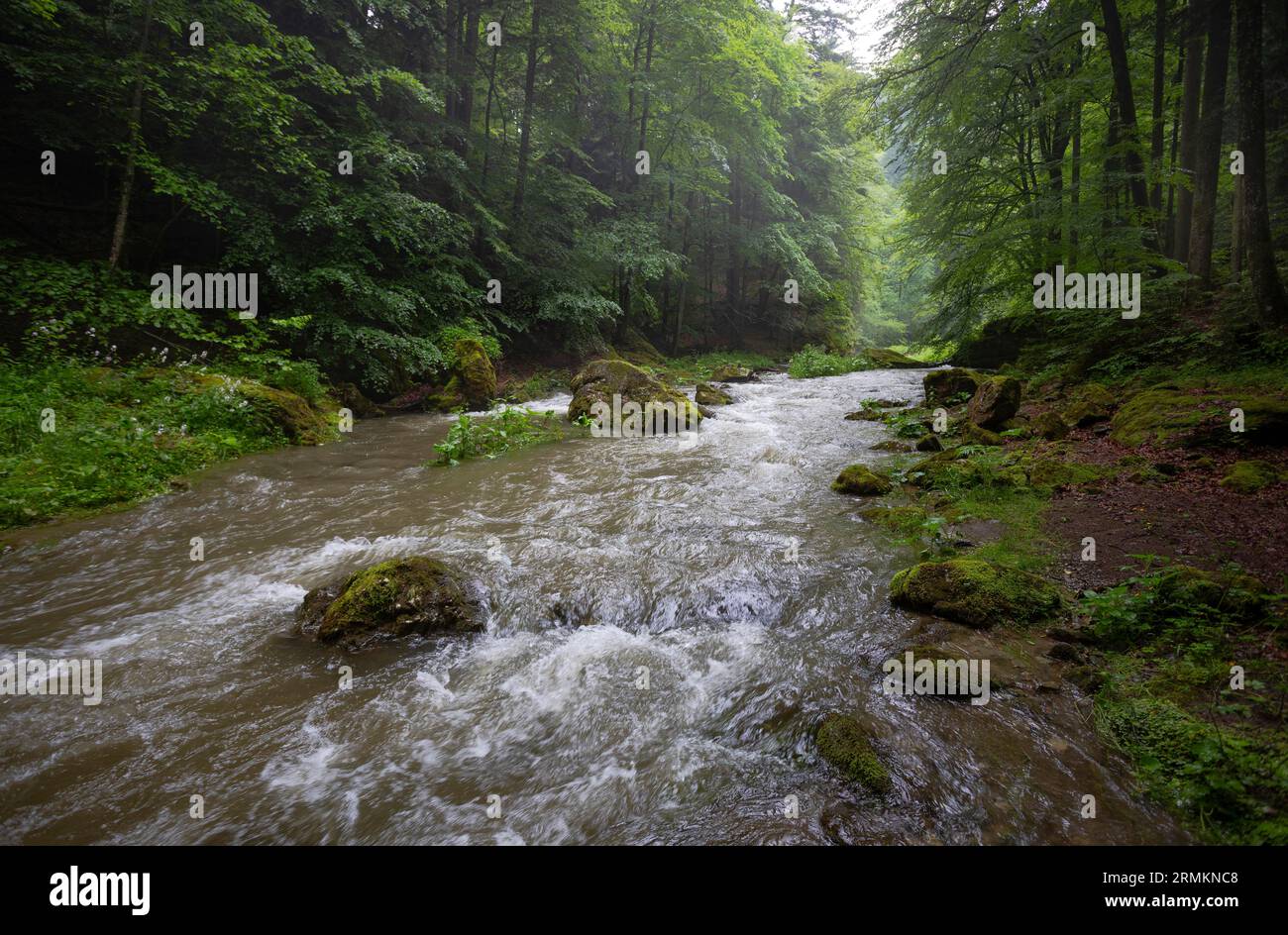 The river Raab flows through the Raabklamm gorge, Arzberg, Styria ...