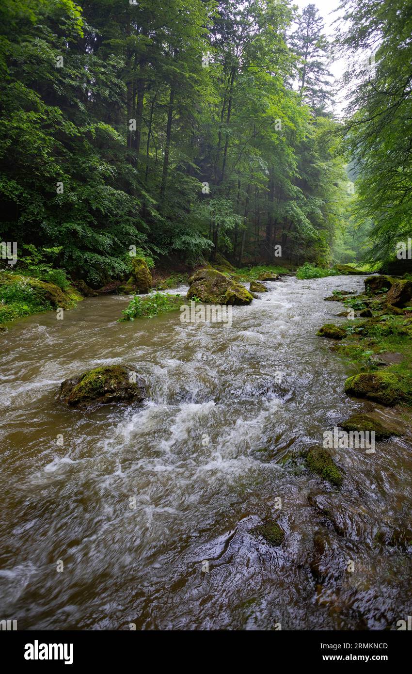 The river Raab flows through the Raabklamm gorge, Arzberg, Styria ...