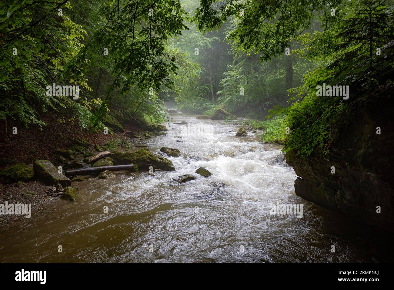 The river Raab flows through the Raabklamm gorge, Arzberg, Styria ...