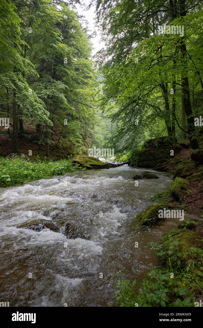 The river Raab flows through the Raabklamm gorge, Arzberg, Styria ...