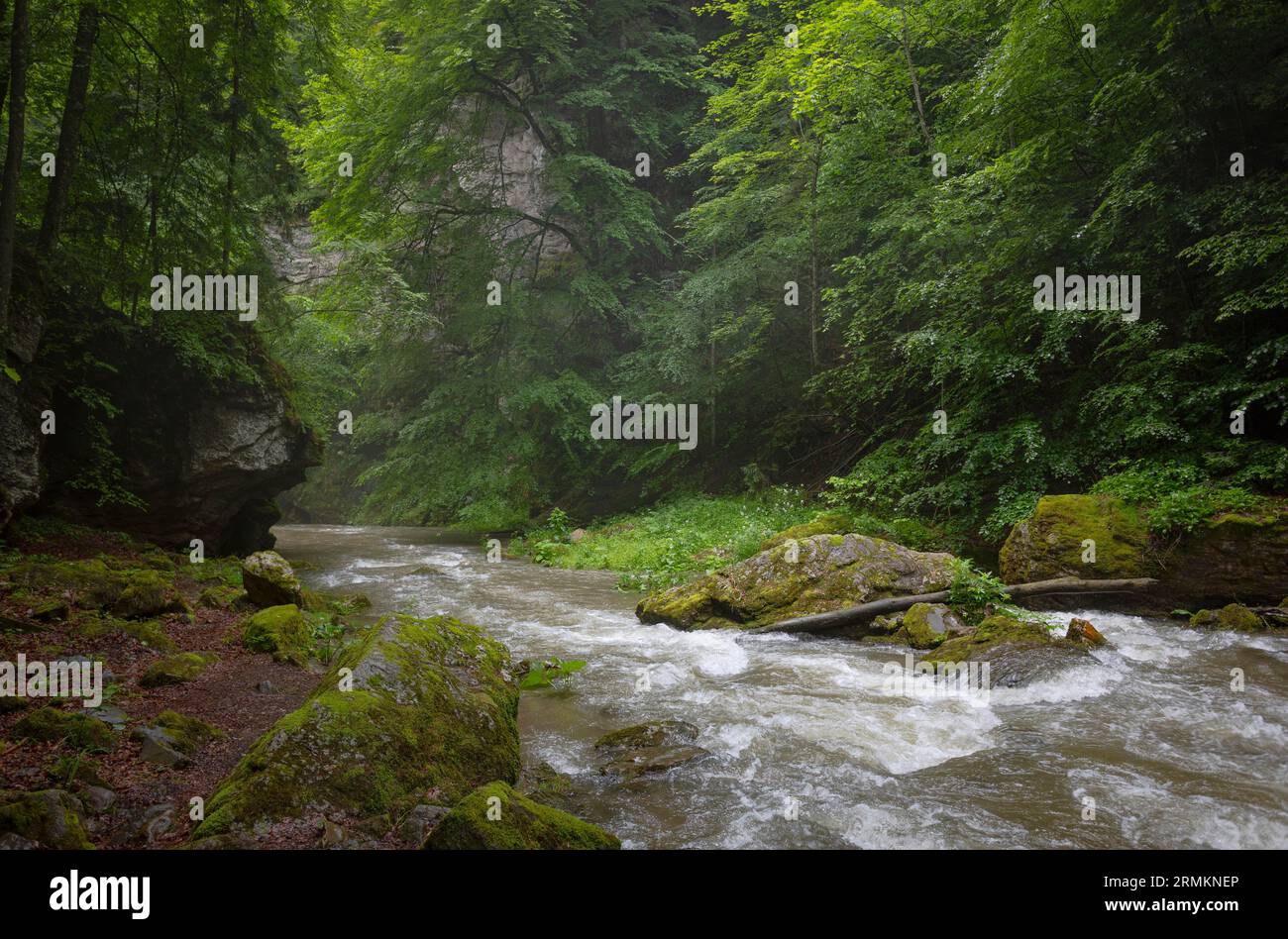 The river Raab flows through the Raabklamm gorge, Arzberg, Styria ...