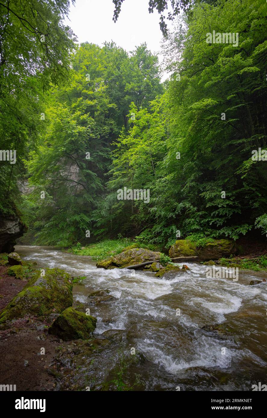The river Raab flows through the Raabklamm gorge, Arzberg, Styria ...