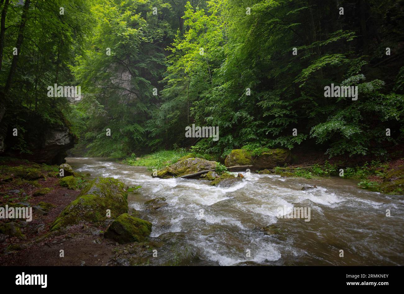 The river Raab flows through the Raabklamm gorge, Arzberg, Styria ...