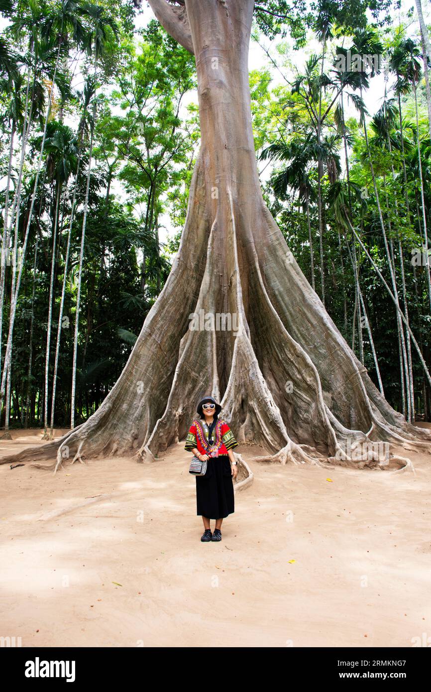 Thai women travelers people travel visit and posing portrait take photo ...
