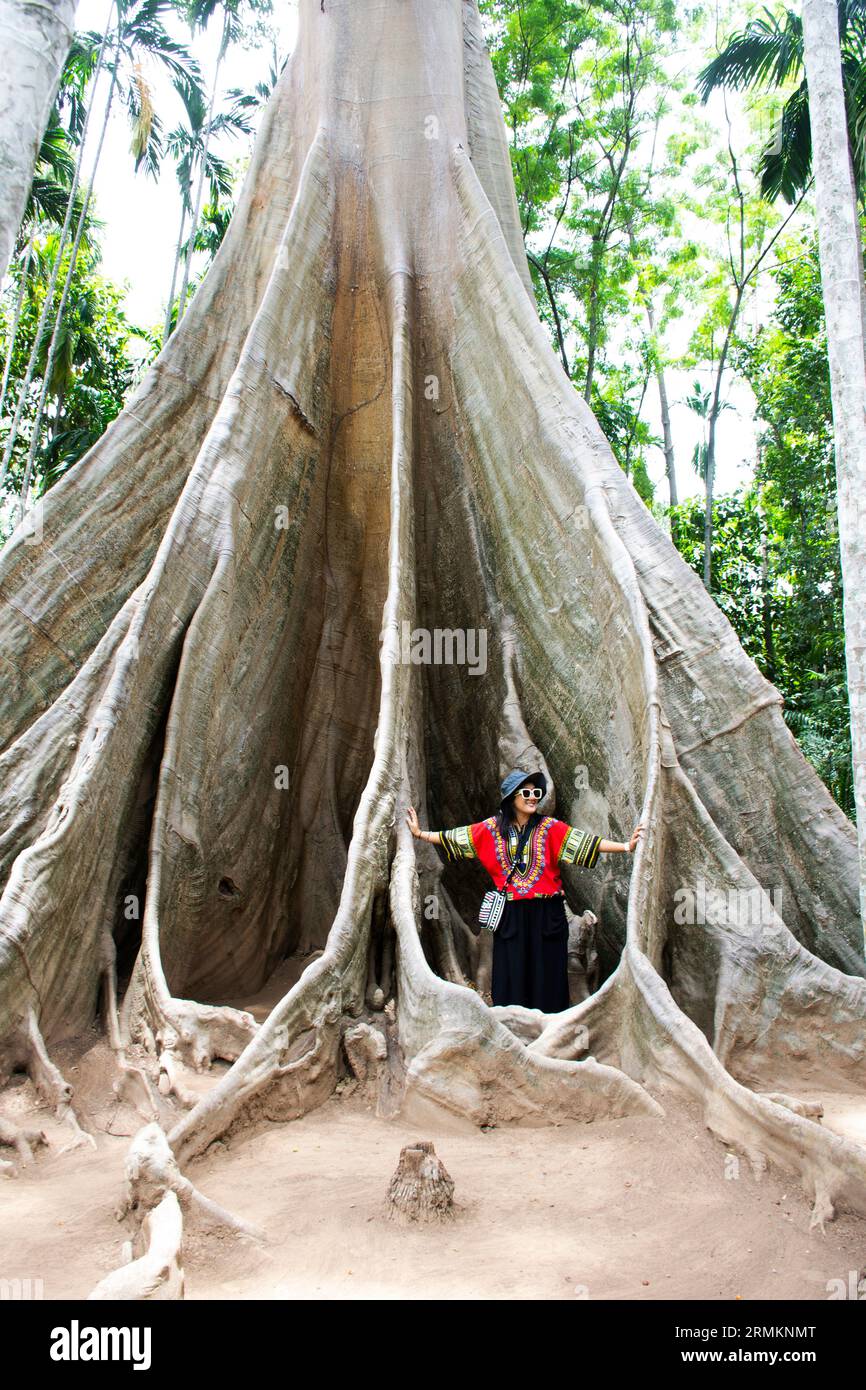 Thai women travelers people travel visit and posing portrait take photo ...