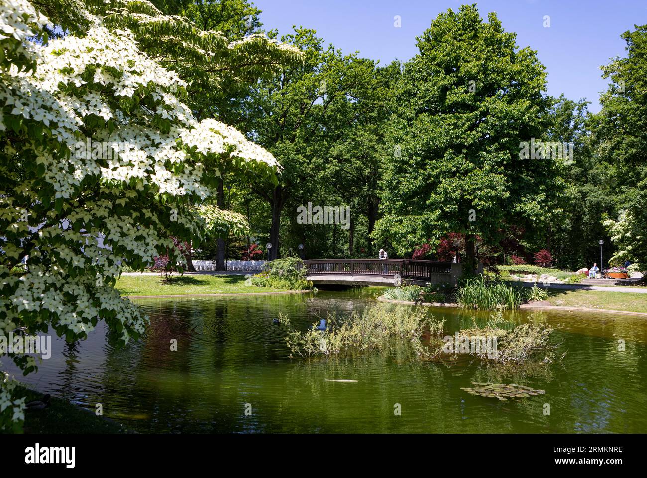 Large pond in the spa gardens, Bad Fuessing, Lower Bavaria, Bavaria ...