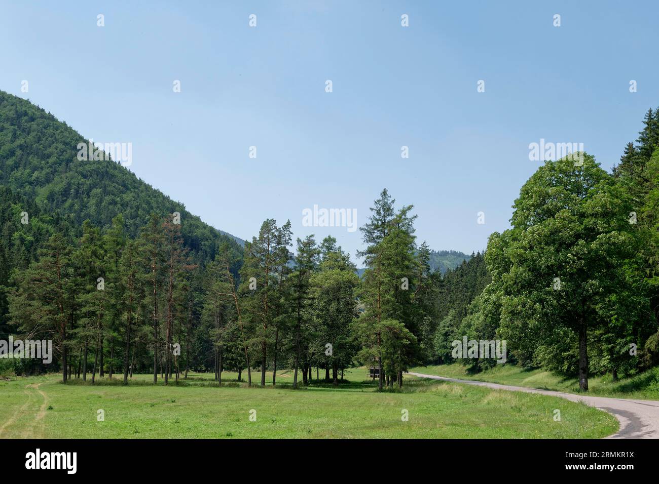 Tatras national park hi-res stock photography and images - Alamy