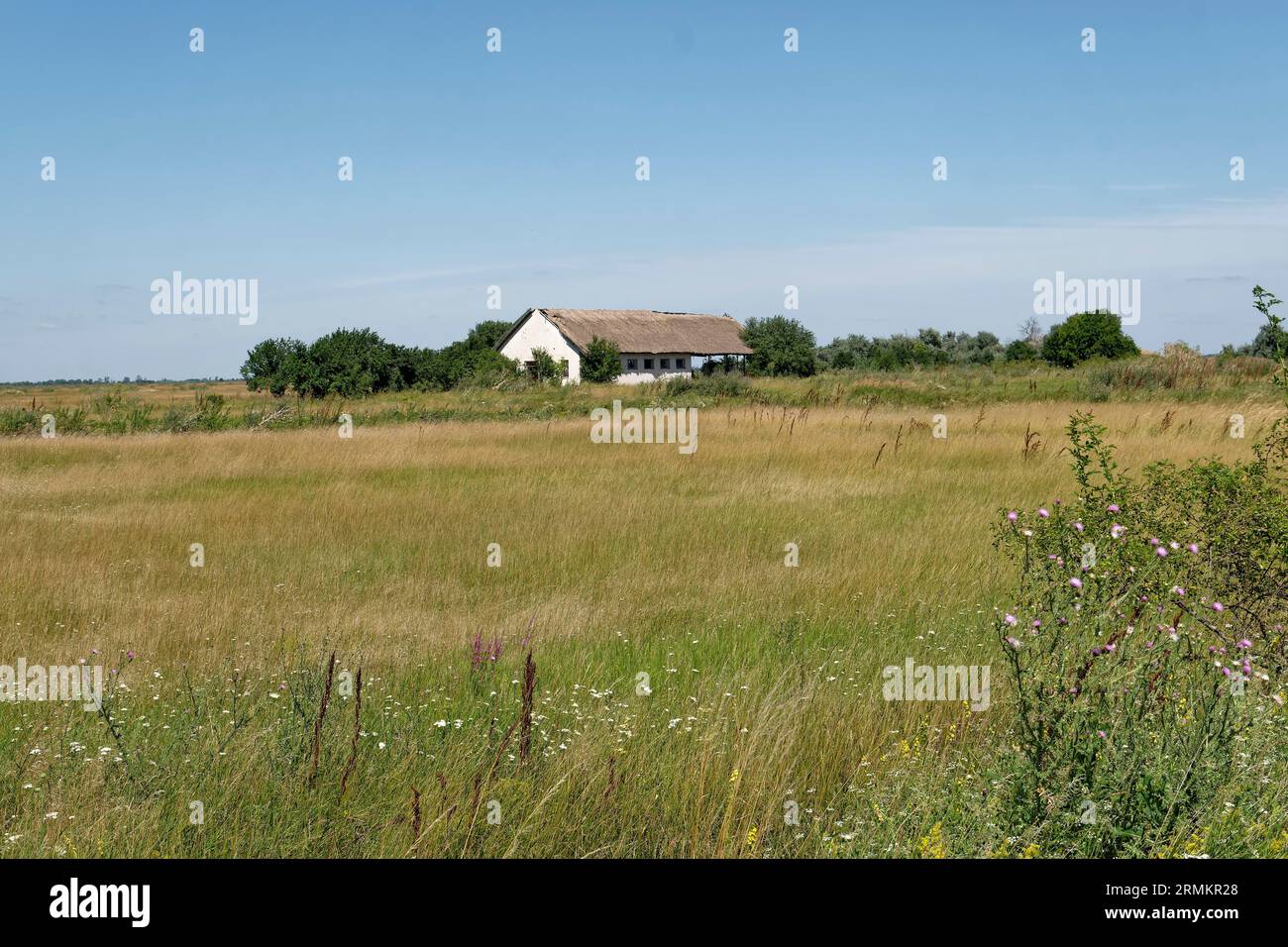 Puszta and steppe landscape in Hortobagy National Park, Hortobagy ...