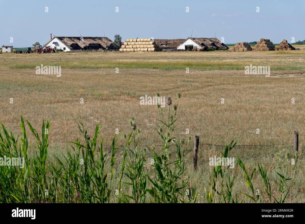 Puszta and steppe landscape in Hortobagy National Park, Hortobagy ...