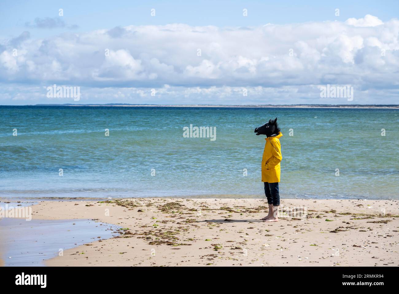 Person with horse mask on the beach, bizarre scene, Denmark Stock Photo ...