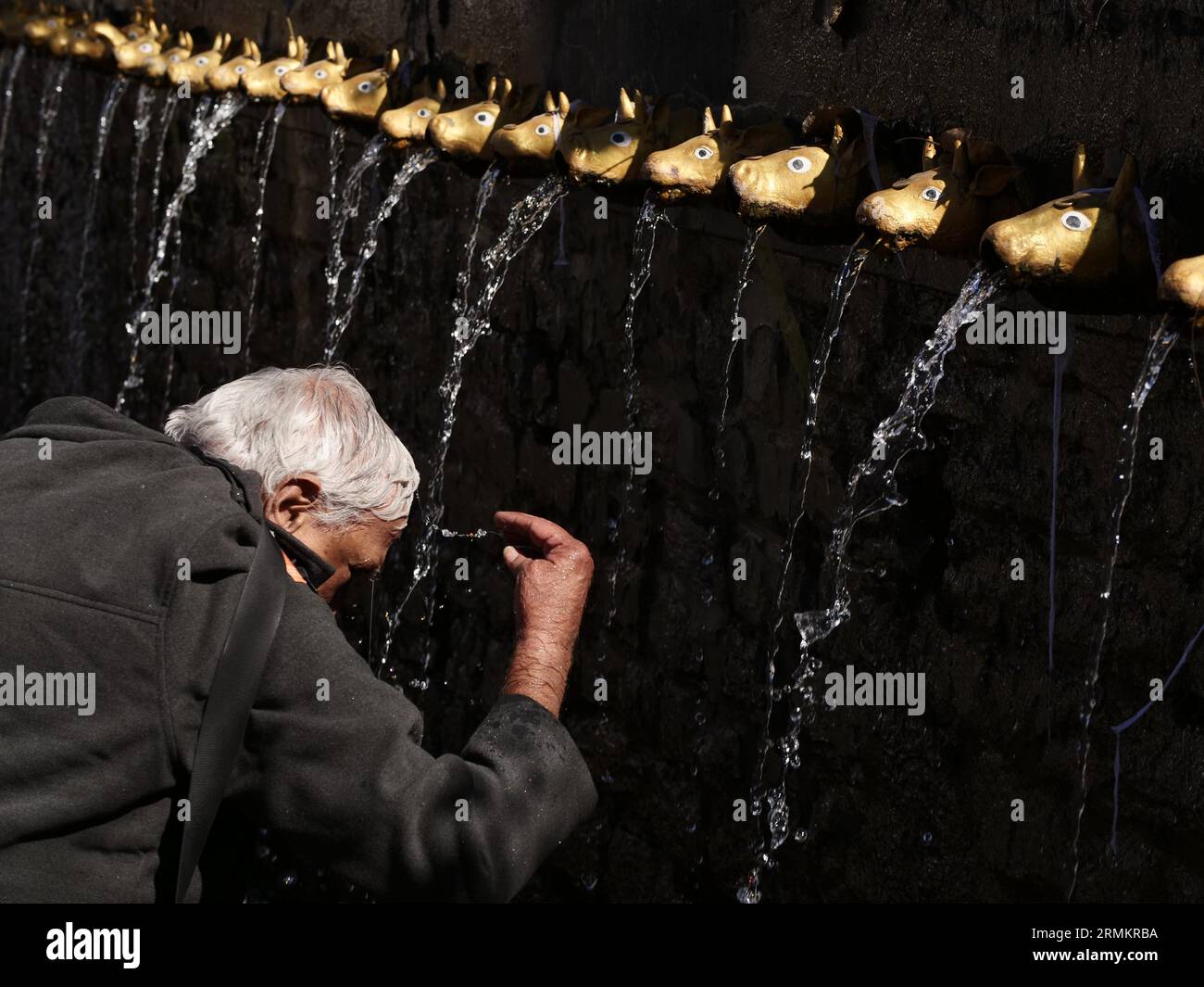 A pilgrim elderly man sprays his white hair with water from holy ...