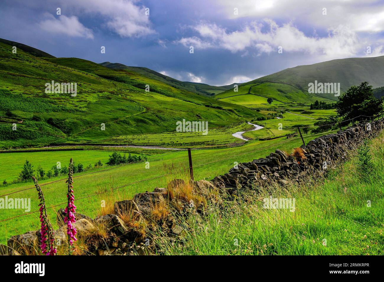 The valley of the Billhope Burn near Hermitage Castle, Newcastleton ...