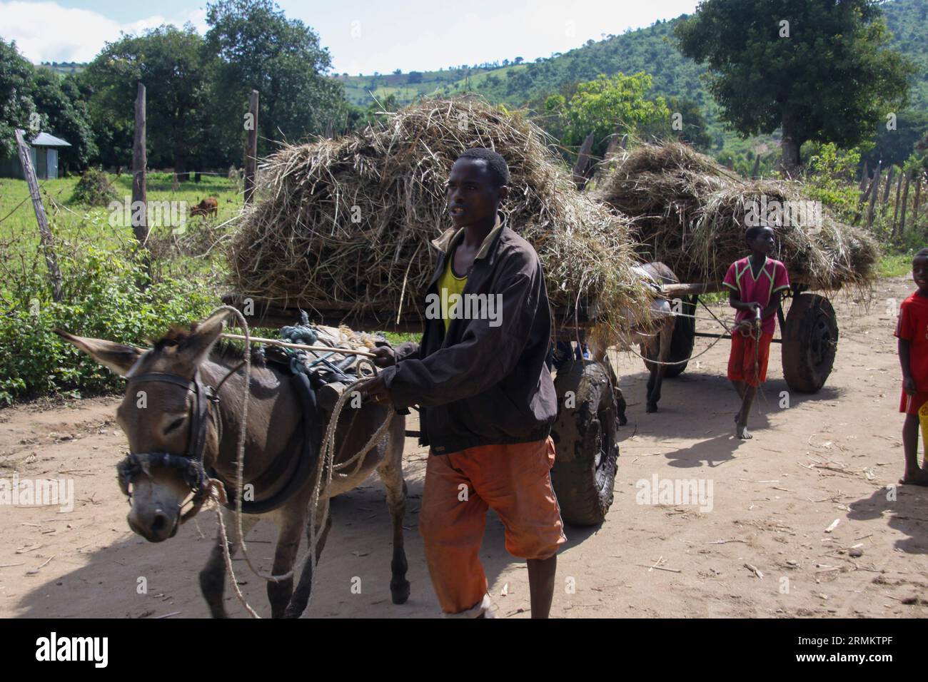 The market town of Jinka, Omo Valley, Ethiopia Stock Photo - Alamy
