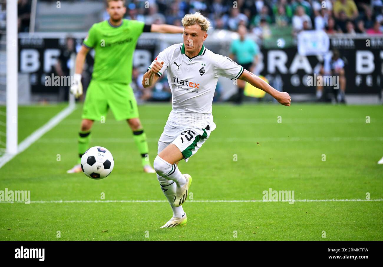 Robin 2023 hi-res stock photography and images - Alamy