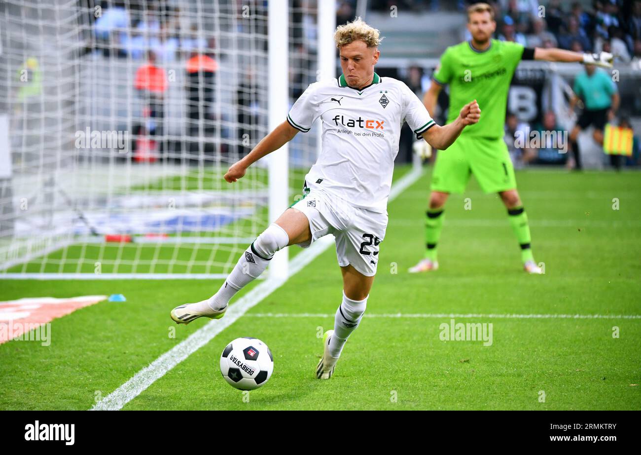 Robin 2023 hi-res stock photography and images - Alamy