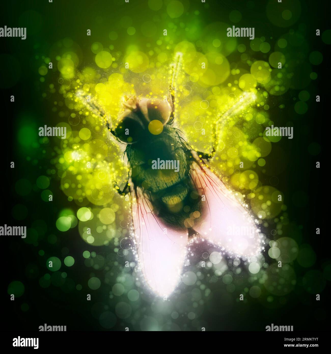 Insect house e hi-res stock photography and images - Alamy