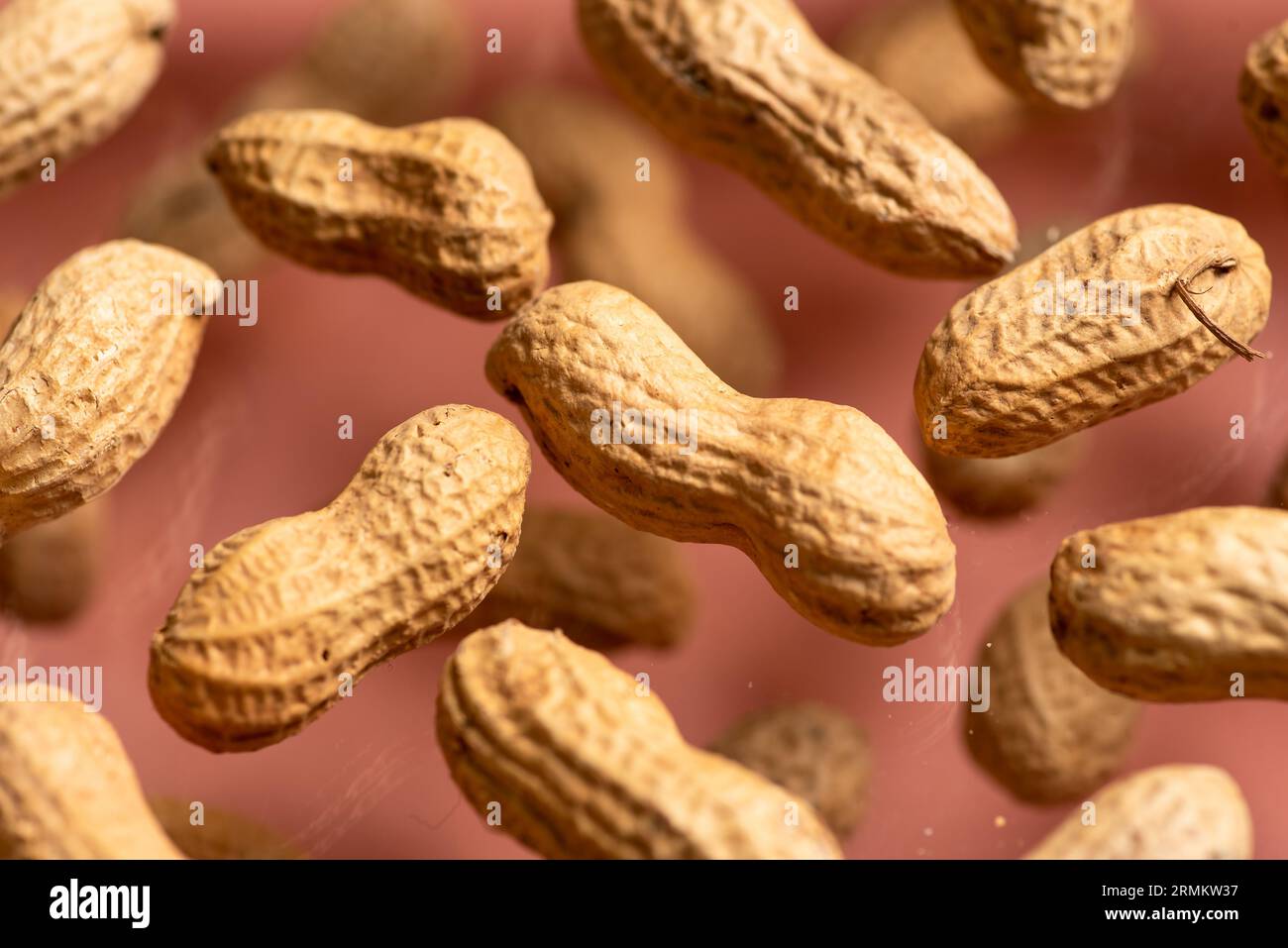 A bunch of fresh peanuts in a crunchy shell on a pink background Stock ...