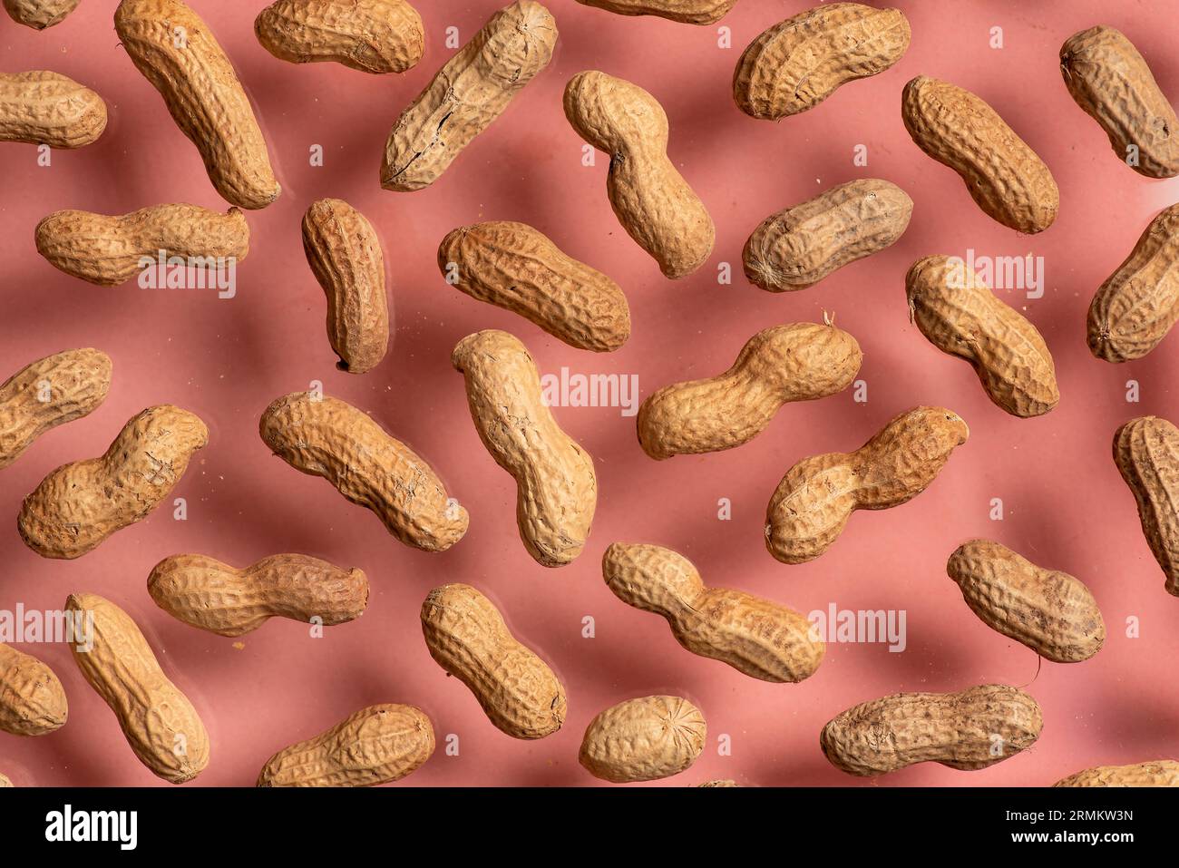 A bunch of fresh peanuts in a crunchy shell on a pink background Stock ...