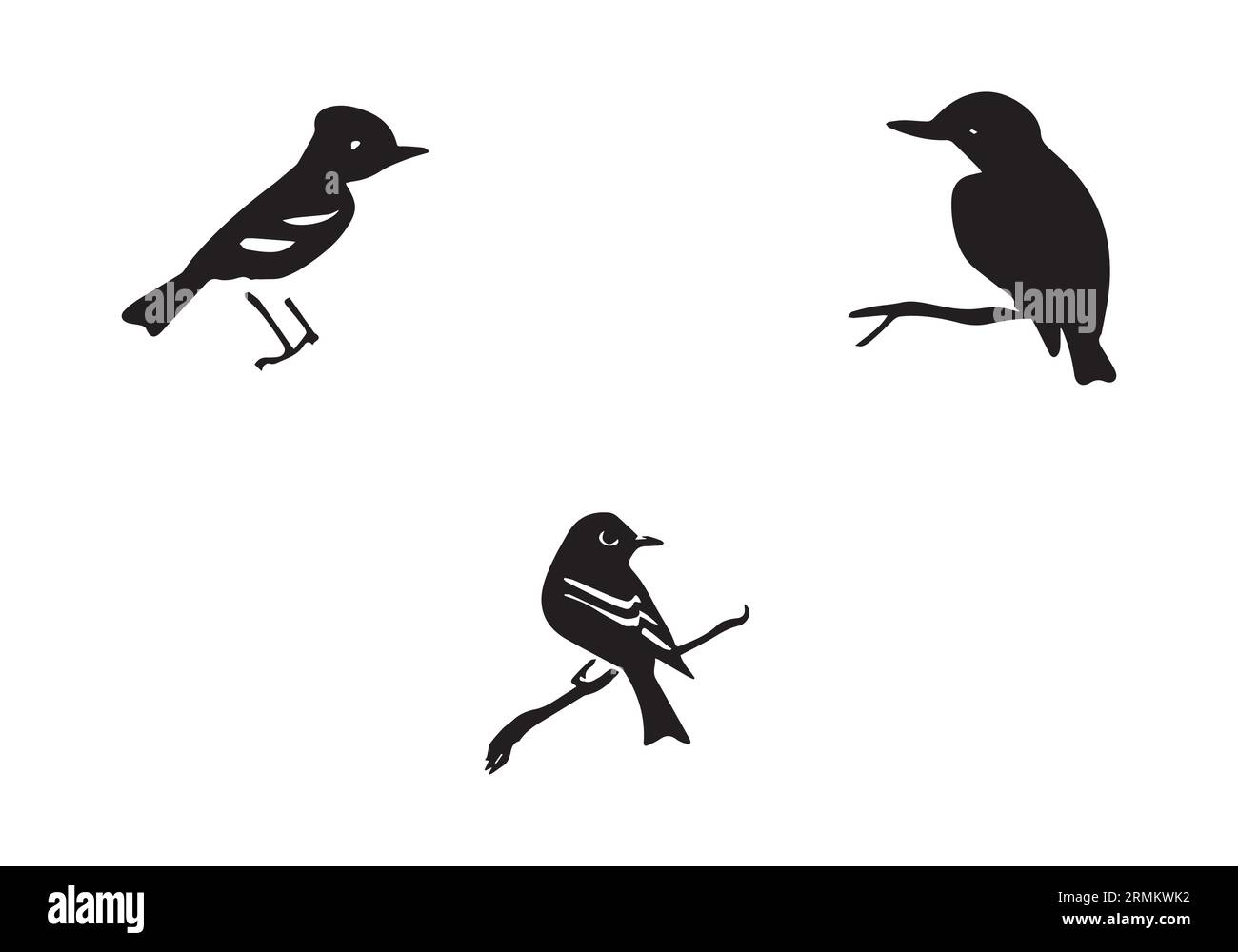 Birds vector vectors hi-res stock photography and images - Alamy