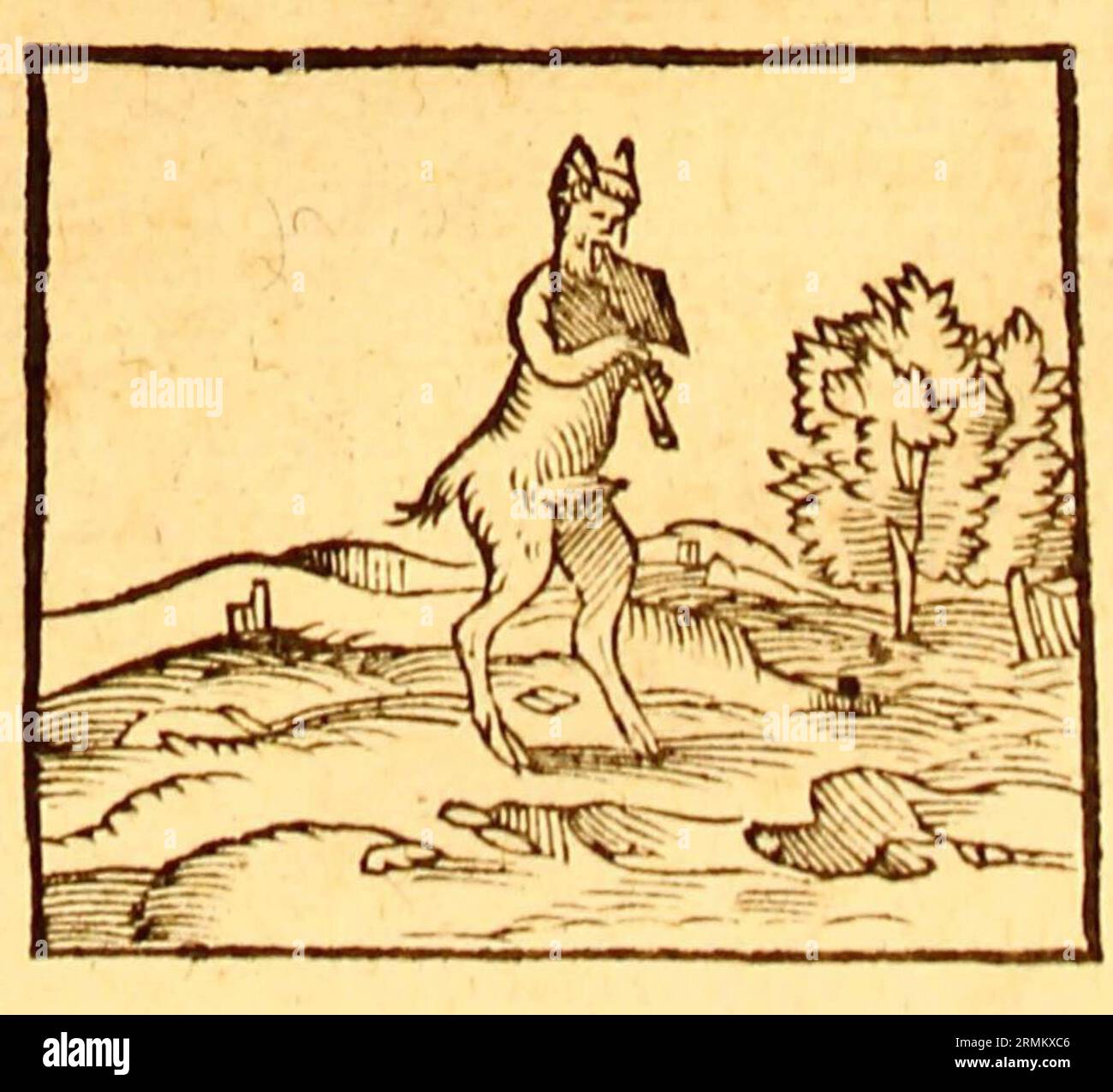 Bellunensis hi-res stock photography and images - Alamy