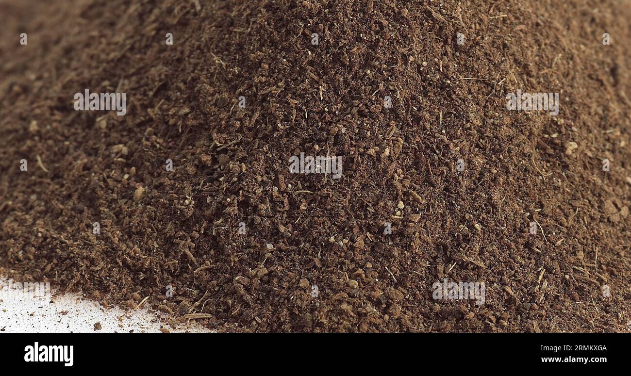 Four Spices, against White Background Stock Photo - Alamy