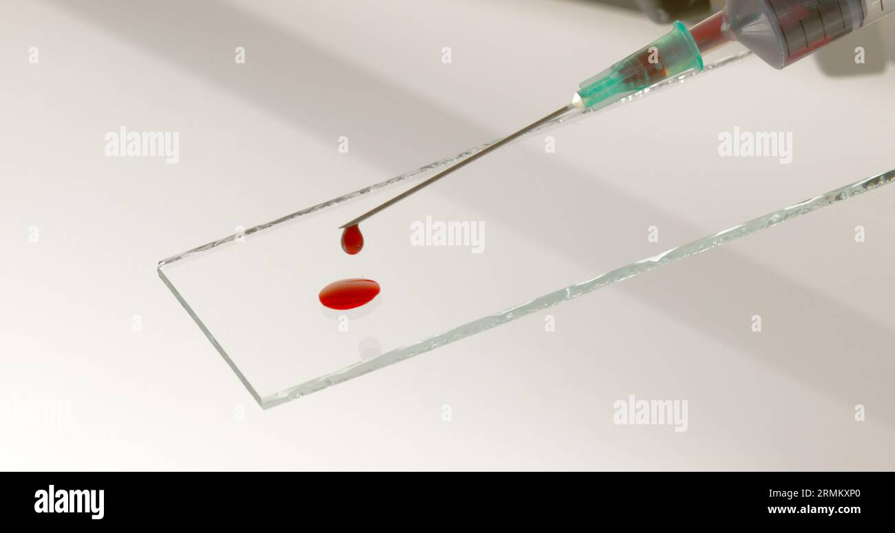 Blood dropping from Needle against White Background Stock Photo - Alamy